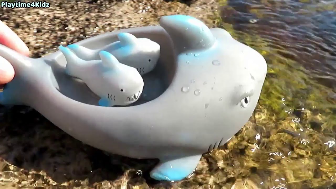 Mommy Shark Saves Baby Sharks Family Friendly Toy Video - YouTube