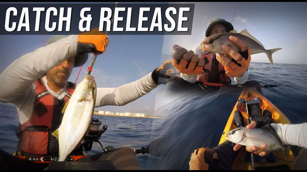 Early morning Jigging & Trolling in high waves 0.5m | Released 3 ...