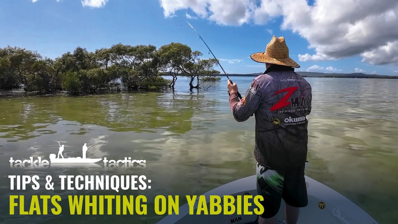 How to Catch Yellowfin Whiting on Yabbies, Plus Surprise Big Flathead ...