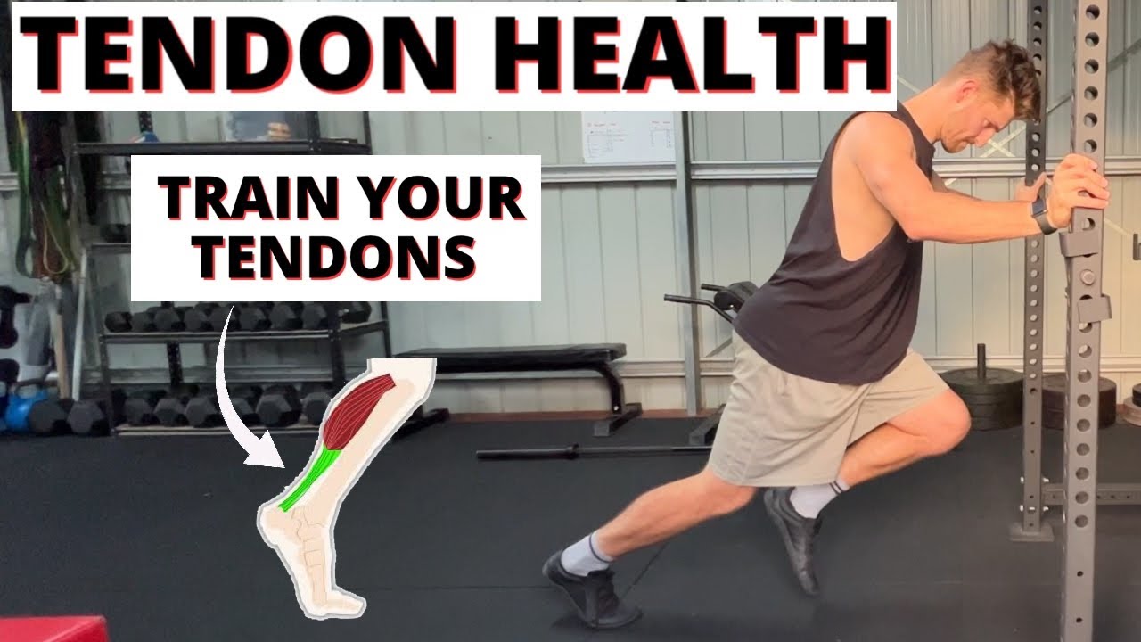 TENDON HEALTH | 3 Exercises to Improve your Tendon Health & Reduce Pain ...