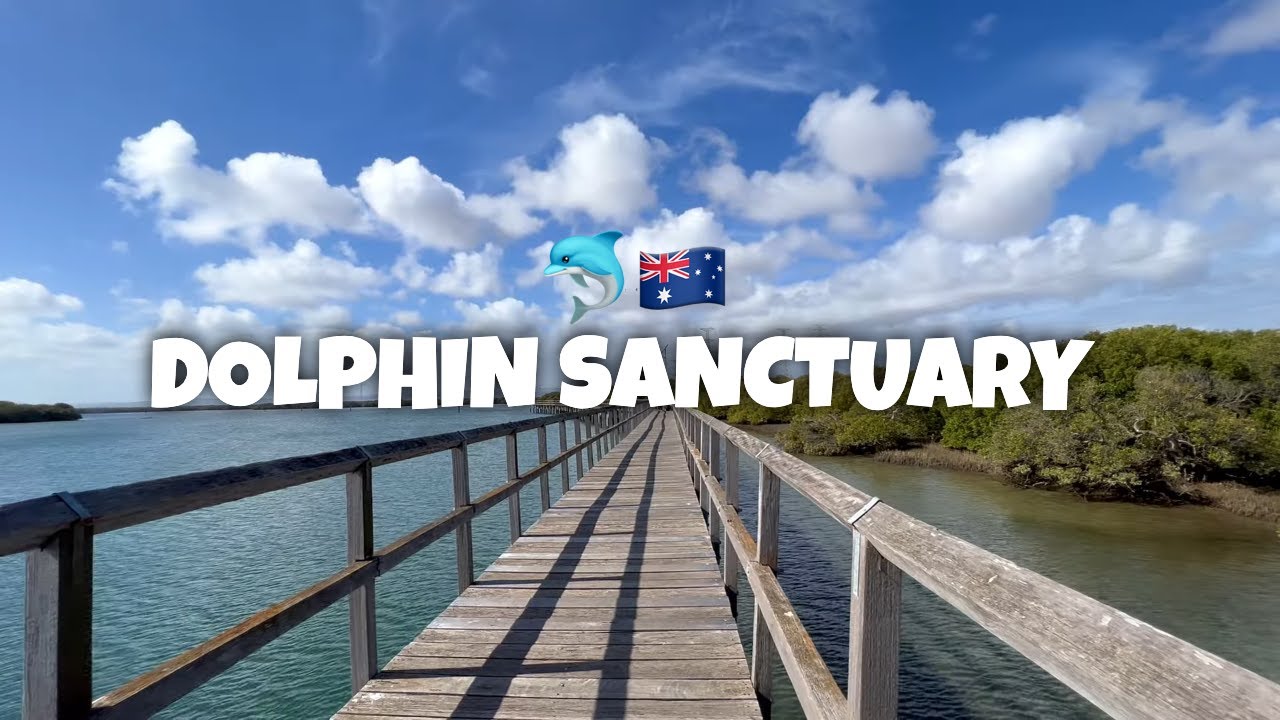 DOLPHIN SANCTUARY in GARDEN ISLAND | Port Adelaide, Adelaide, South ...