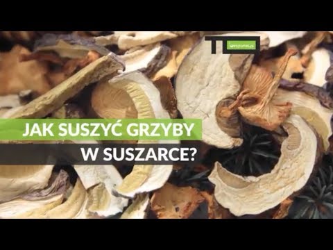Jak suszyć grzyby w suszarce? - YouTube