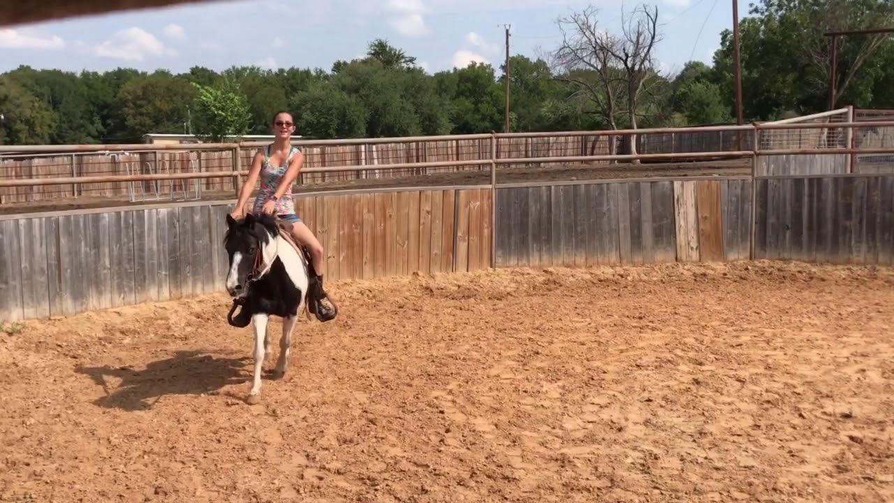 Taylor Rides “Checkers” - YouTube