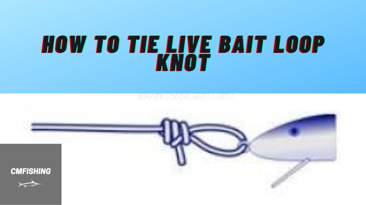 How To: Tying the Live Bait Loop Knot - YouTube
