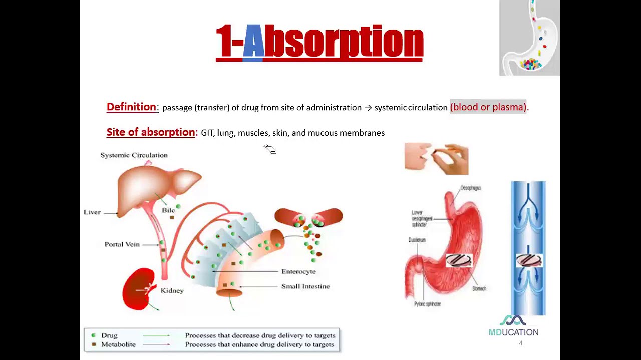 Pharmacology 101 Lecture 2 Part-1 General Pharmacology Absorption-1 ...