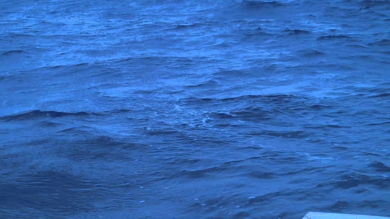 bermuda deep sea fishing 007 - YouTube
