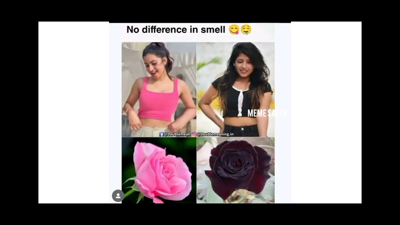 Double Entendre Delights: Hilarious Double Meaning Memes that'll Make ...