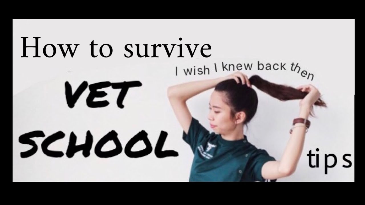 Tips For Aspiring Vets How To Survive Vet School Part 1 YouTube Tips For Aspiring Vets How To Survive Vet School Part 1 YouTube