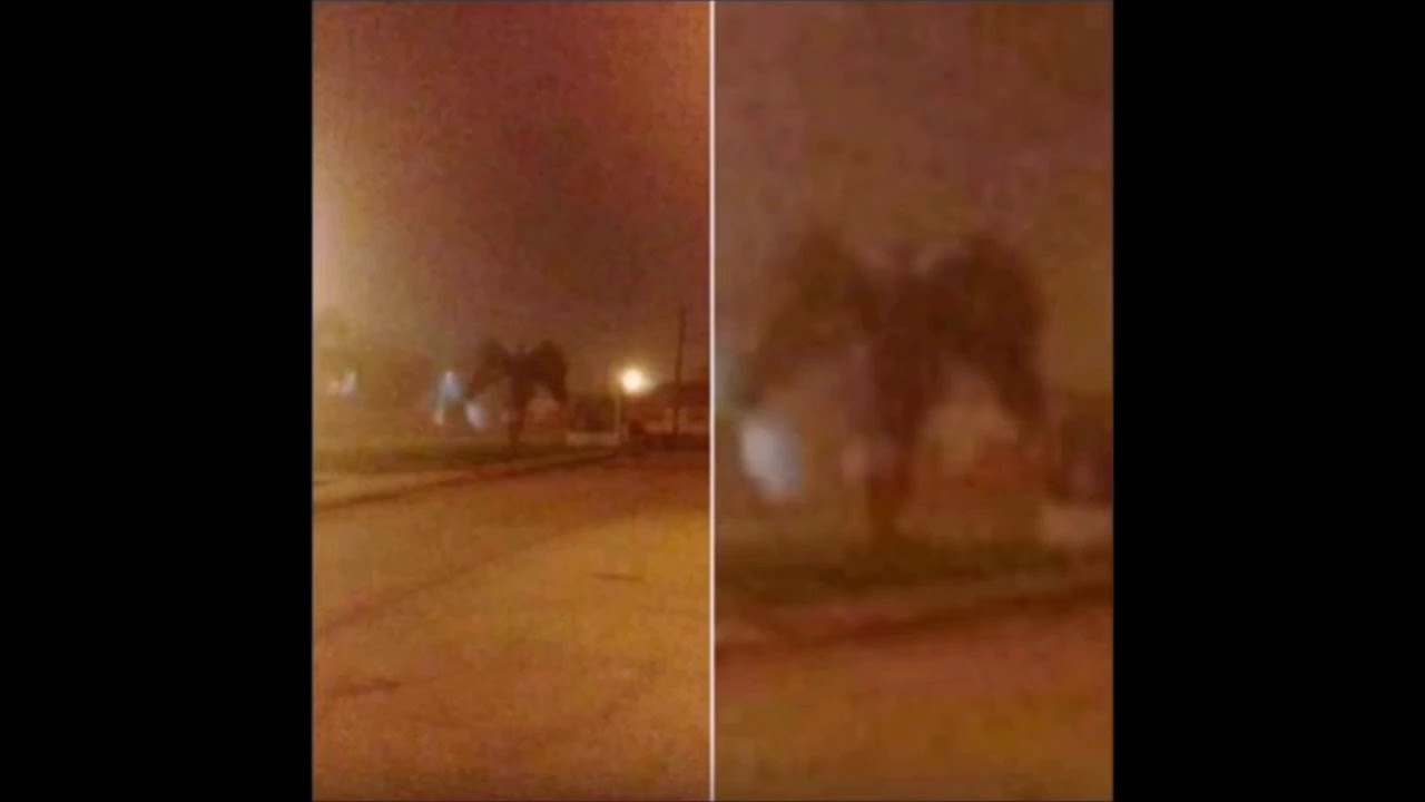 Giant Humanoid Creature With Wings Was Seen In Phoenix - YouTube