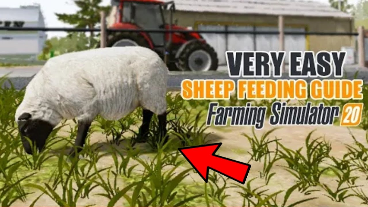 How to feed sheep | farming simulator 20 | sheep guide de 20 hindi ...