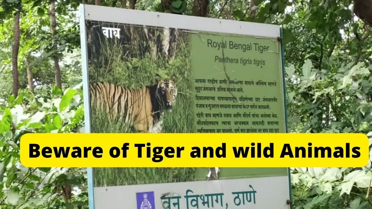 BARVI DAM Best one day Picnic near BADLAPUR | Badlapur Barvi Dam ...