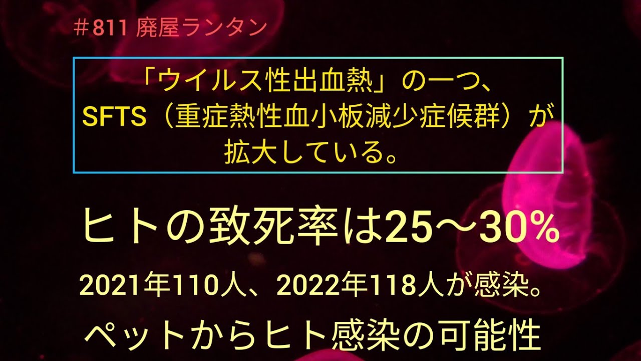 ＃811 致死率が高い「ウイルス性出血熱」の一つ、SFTS（重症熱性血小板減少症候群）が拡大している。SFTSは森林や草むらにひそむマダニが ...