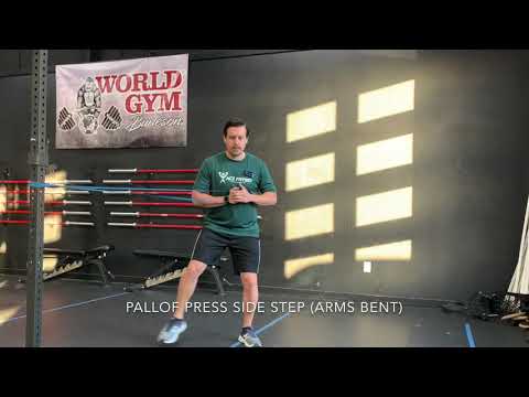 Pallof Press Side Step (Arms Bent) | ACE Physio & Performance, PLLC ...