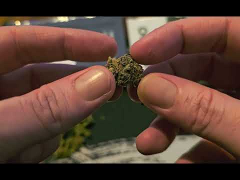 UK Medical Cannabis Review - High Silver + Tokoloshe Sherbet 19% (Non ...