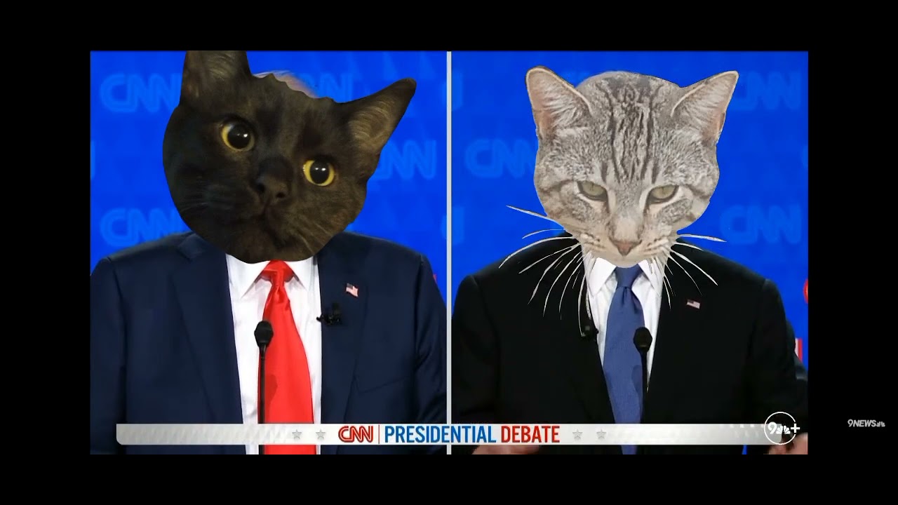 Presidential debate but with my cats - YouTube