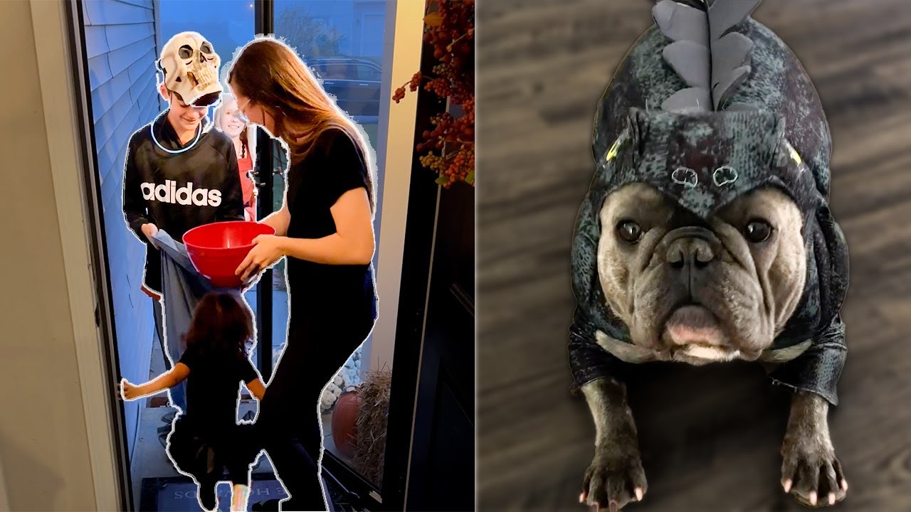 Halloween Festival Fun: Scary Pranks to Spooky Treats Compilation ...