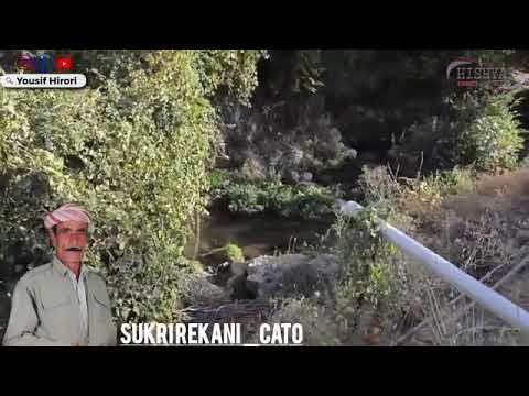 Sukri Rekani Cato شكر ريكانى چه تو