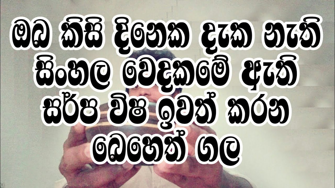 Sinhala Sarpa Wedakama - YouTube