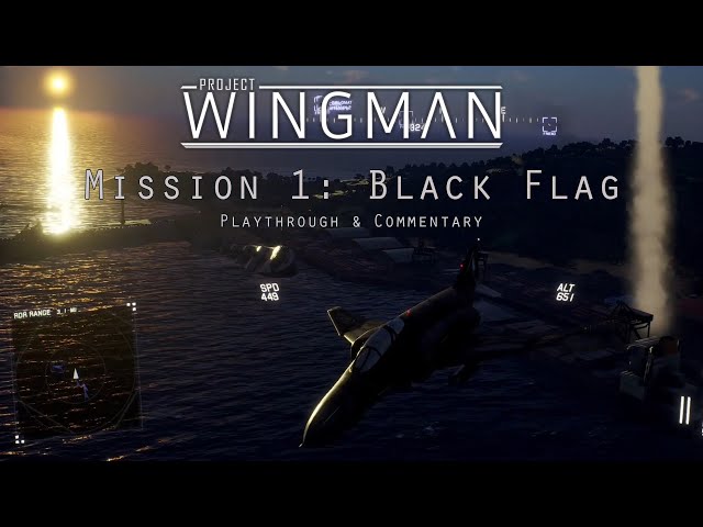 Mission 1: Black Flag - Project Wingman