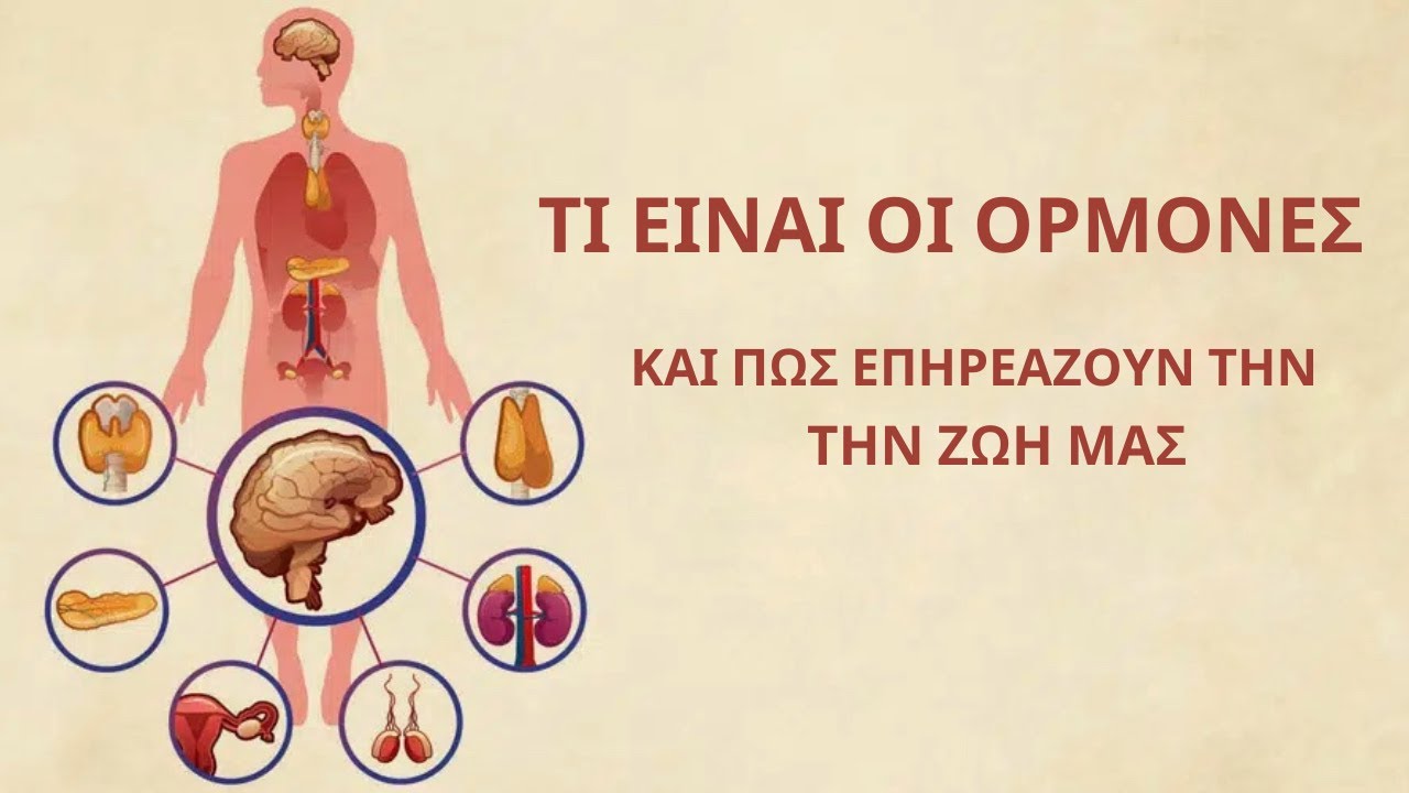 ΤΙ ΕΙΝΑΙ ΟΙ ΟΡΜΟΝΕΣ ; - YouTube