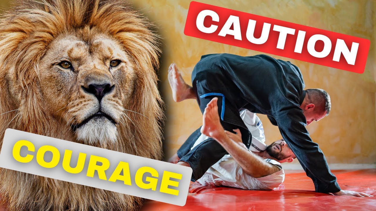 How to Balance Courage and Caution in Brazilian Jiu-Jitsu - YouTube