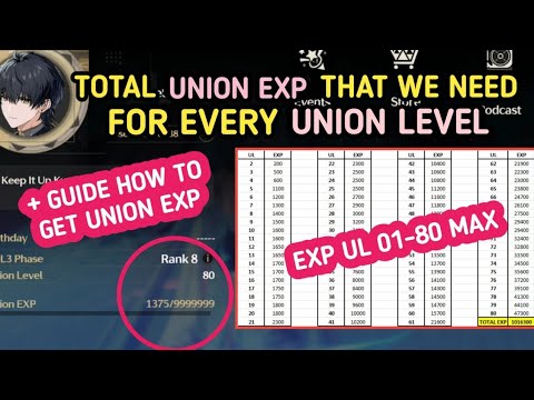 Total EXP Union Level 01-80 Max Wuthering Waves, And Guide How To Get ...