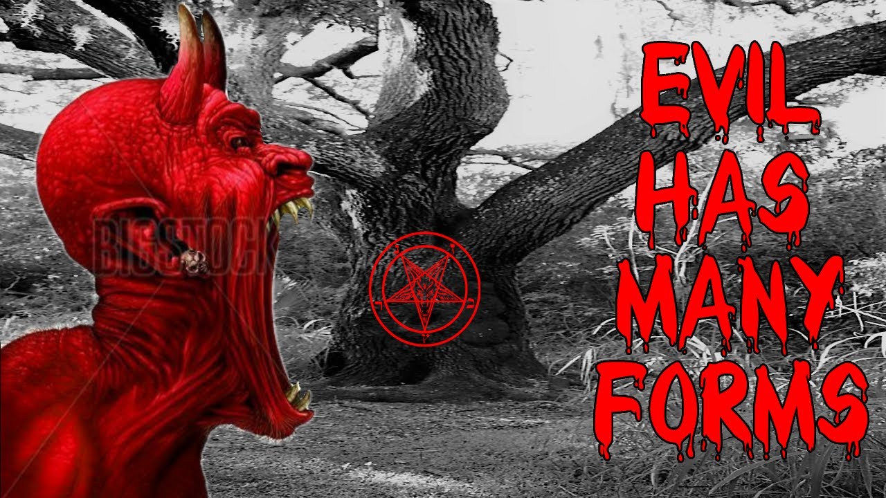 THE DEVIL TREE ( Port Saint Lucie Florida) - YouTube