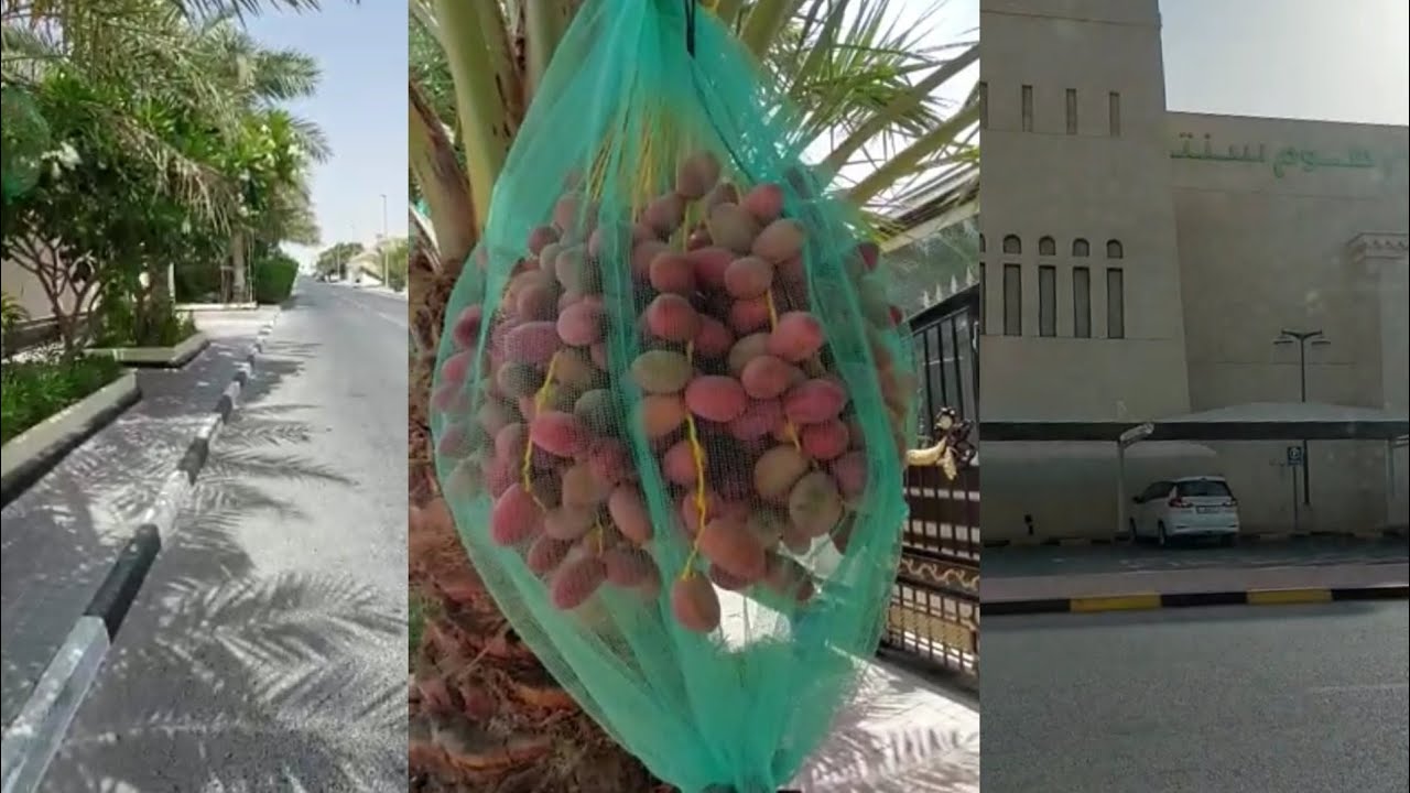 Umm Al Talat Qatar - YouTube