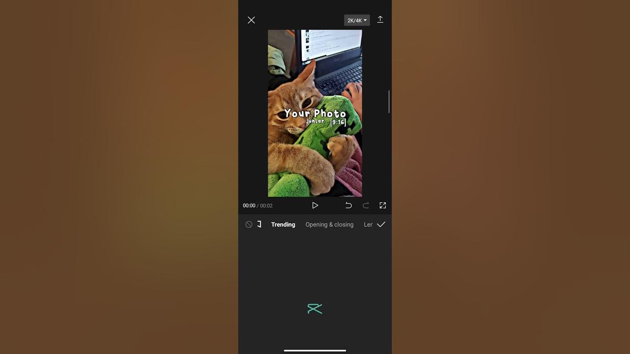 Vibration Flash Transition Effect | Capcut Tutorial - YouTube