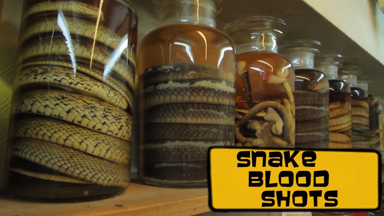 Snake Blood Shots, Life in Taiwan [Taipei #34] - YouTube
