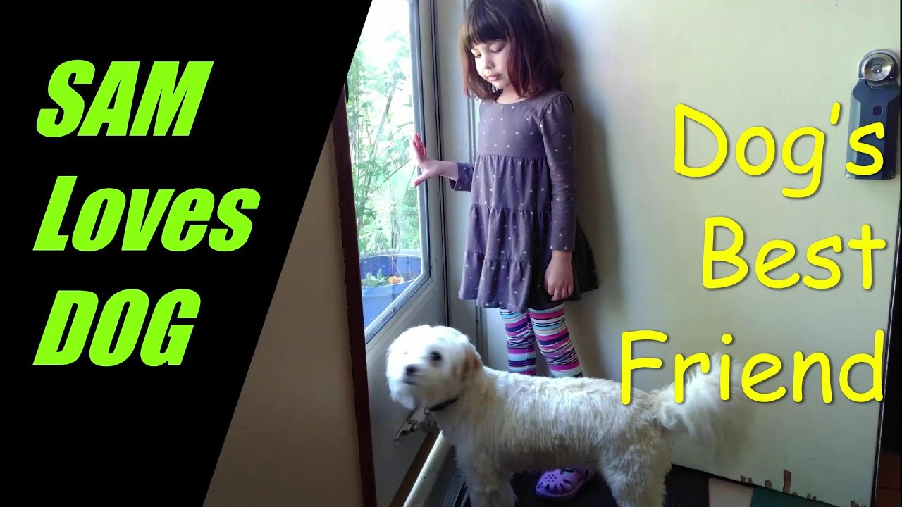 SAM is Dog’s Best Friend - YouTube