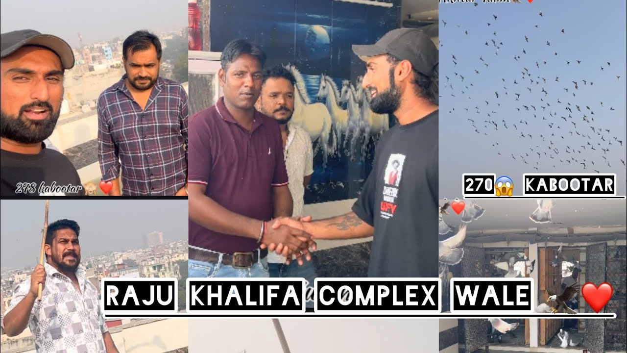 Raju khalifa complex wale 16 nov kabootar 270 maidan me 😱🦅 ️🙈💪🏻 - YouTube