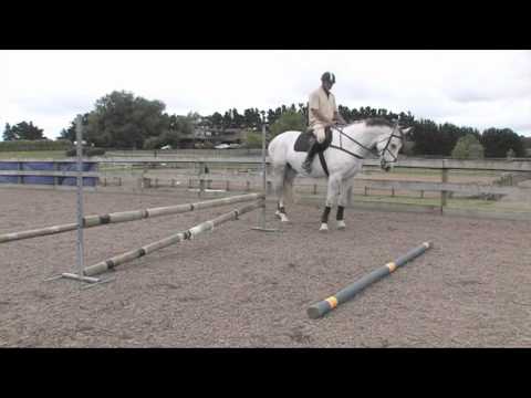 StableMate Equine TV: EP 12 - Simple gridwork jump - YouTube