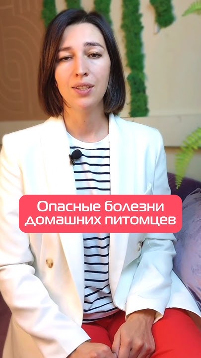 ТОП 3 БОЛЕЗНИ ДОМАШНИХ ПИТОМЦЕВ😱 Youtube