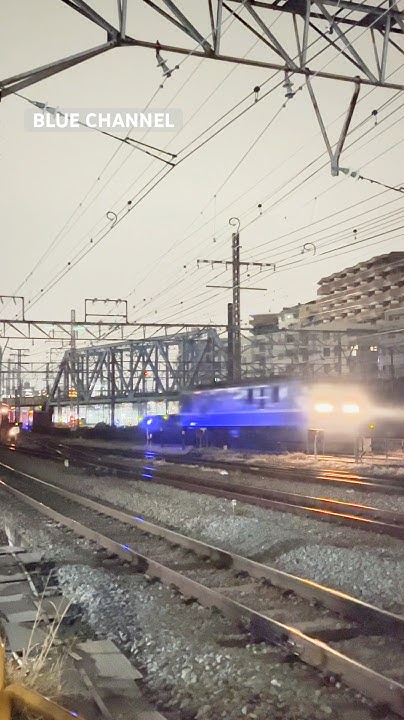 (貨物列車) 2025/03/09 2058レ EF210-119 + コキ20B カンガルーライナーSS60 (吹田タ〜陸前山王) #Shorts - YouTube