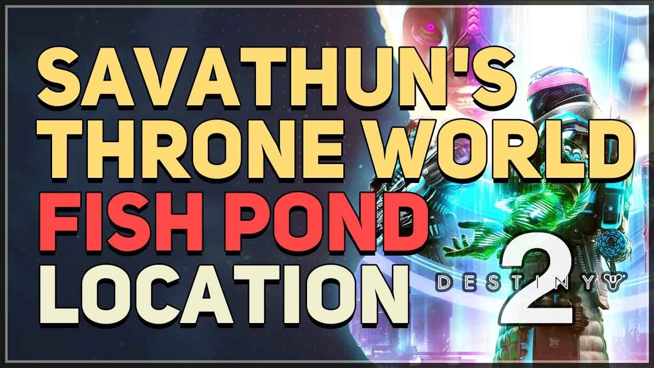 Savathun's Throne World Miasma Fish Pond Location Destiny 2 - YouTube