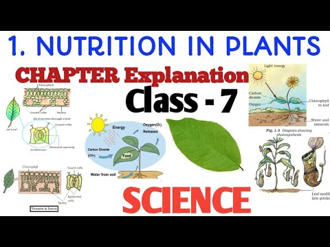 class 7 sci ch 1| class 7 science ch1 |full explanation | class 7 ch ...