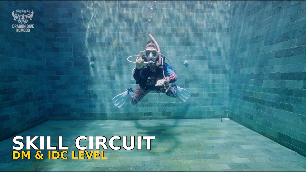 PADI Skill Circuit Demo | Divemaster & IDC Preparation Guide - YouTube