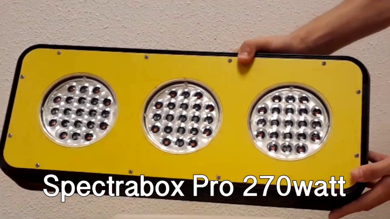 spectrabox 270w - YouTube