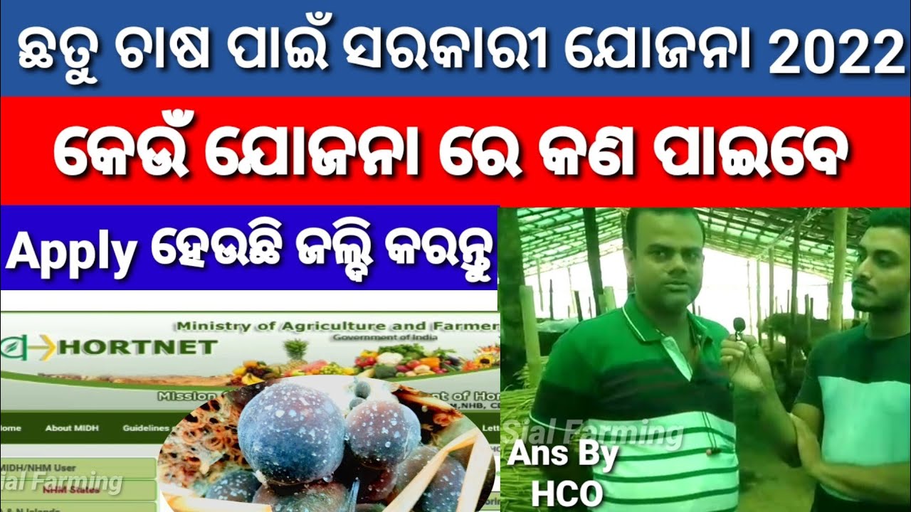 Mushroom Farming ।। Govt Scheme For Mushroom farming 2022।।Muhroom ...