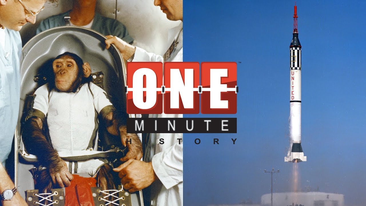 Monkeys in Space - Animals That Pioneered Spaceflight - One Minute ...