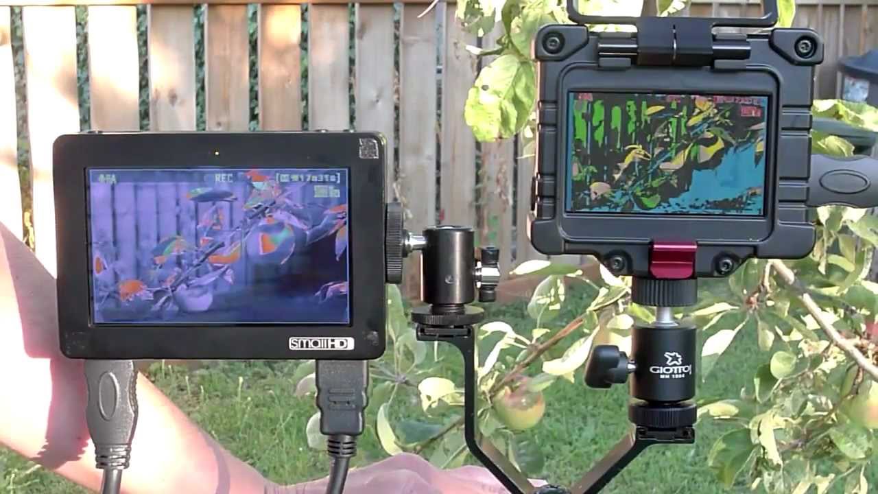 Zacuto EVF & SmallHD DP4-EVF Comparison: PART 2 - YouTube