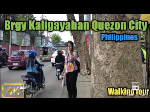 Walking Tour Along Brgy Kaligayahan Quezon City Philippines[4K]Walking ...