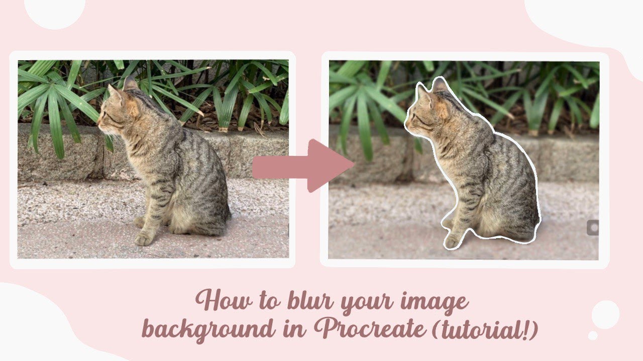 How To Blur Image Background In Procreate It ssyrhzz YouTube how-to-blur-image-background-in-procreate-it-ssyrhzz-youtube