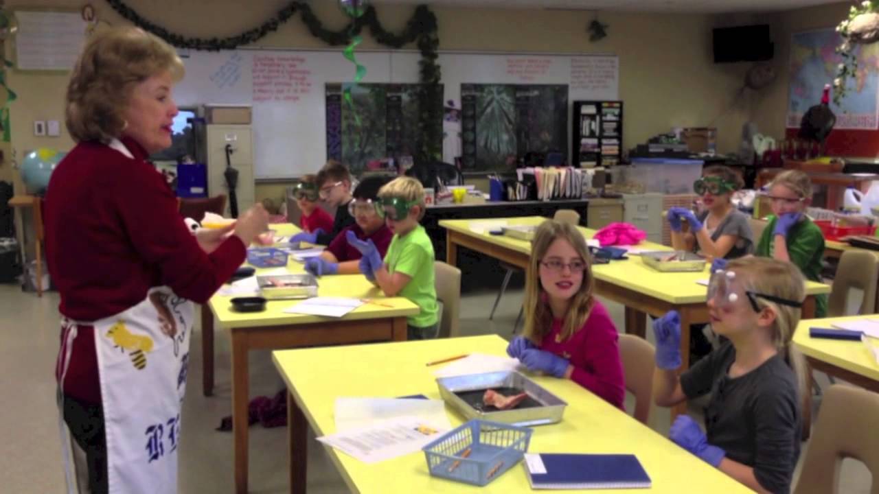 Chicken Dissection in Third Grade - YouTube