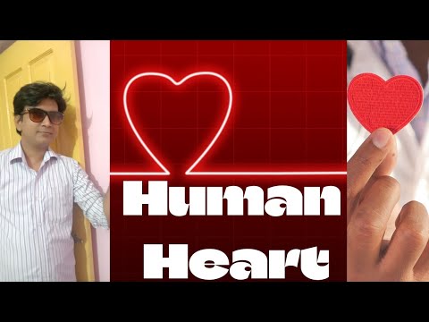 Rap song on Human circulatory system | Heart | Human Heart #rap # ...