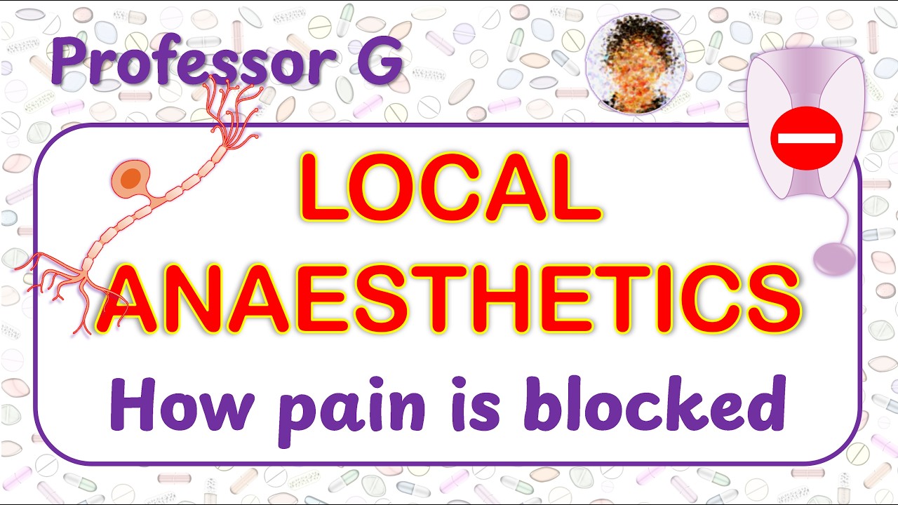 Local Anaesthetics Explained: How They Block Pain (Mechanism Made Clear ...