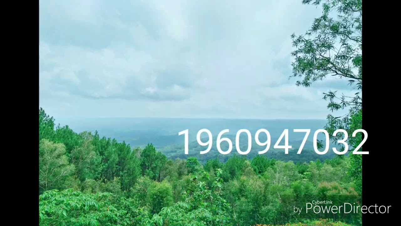 "I like it" id code for roblox (read desc) - YouTube