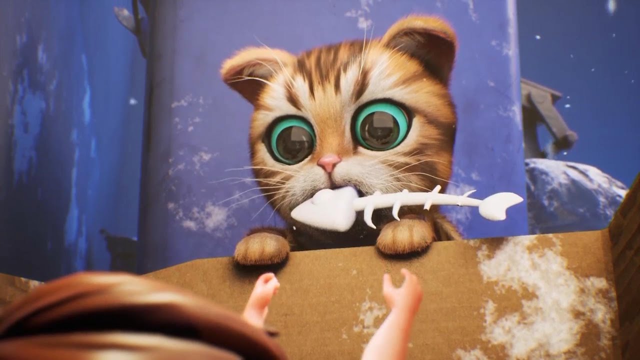 Kitten Match: PERFECT Time with Cute Kitties COMPILATION! - YouTube