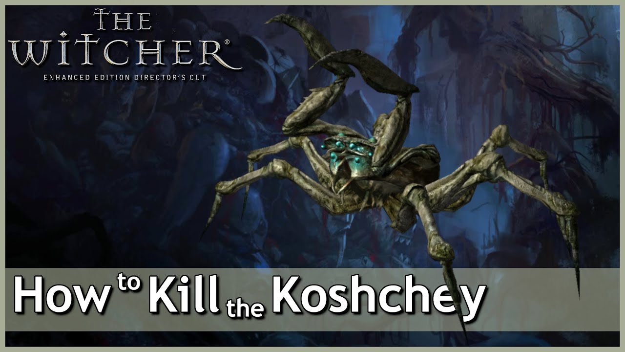 BOSS FIGHT | Fighting The Koshchey Using Aerondight (The Witcher) | No ...